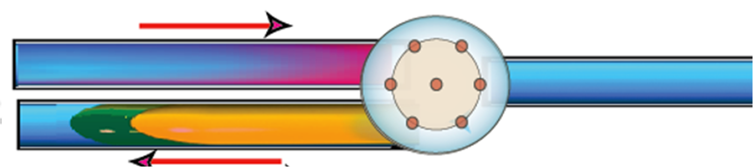 Flow Injection Tutorial
