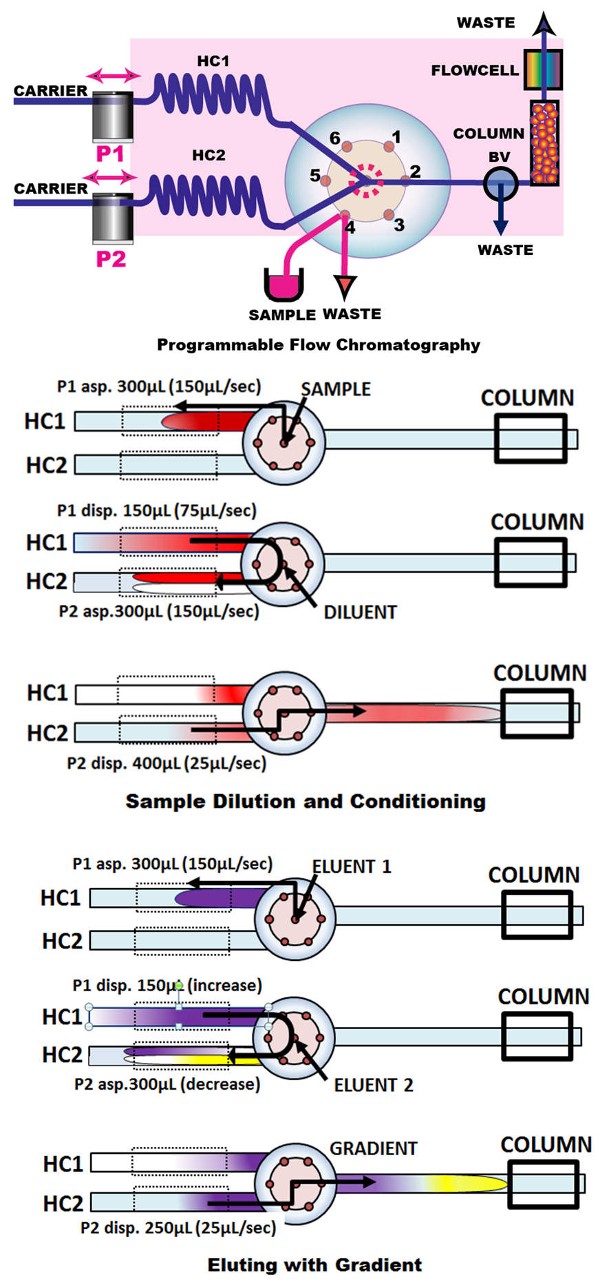 Flow Injection Tutorial