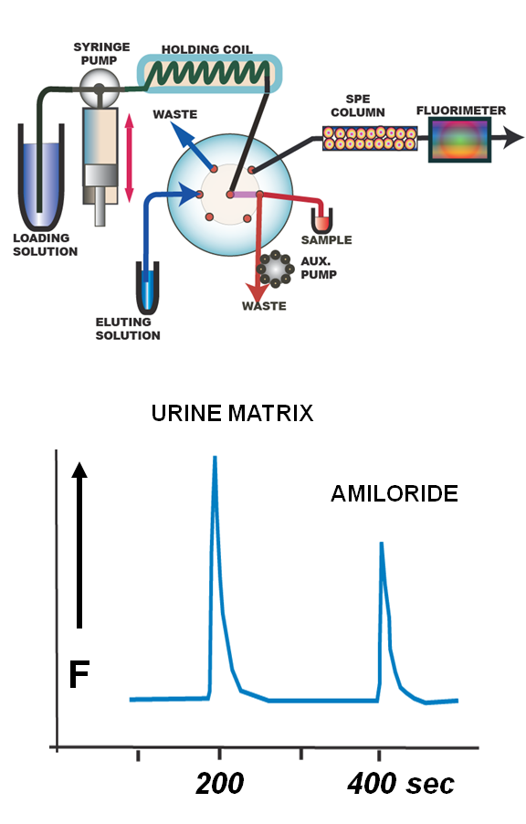 Flow Injection Tutorial