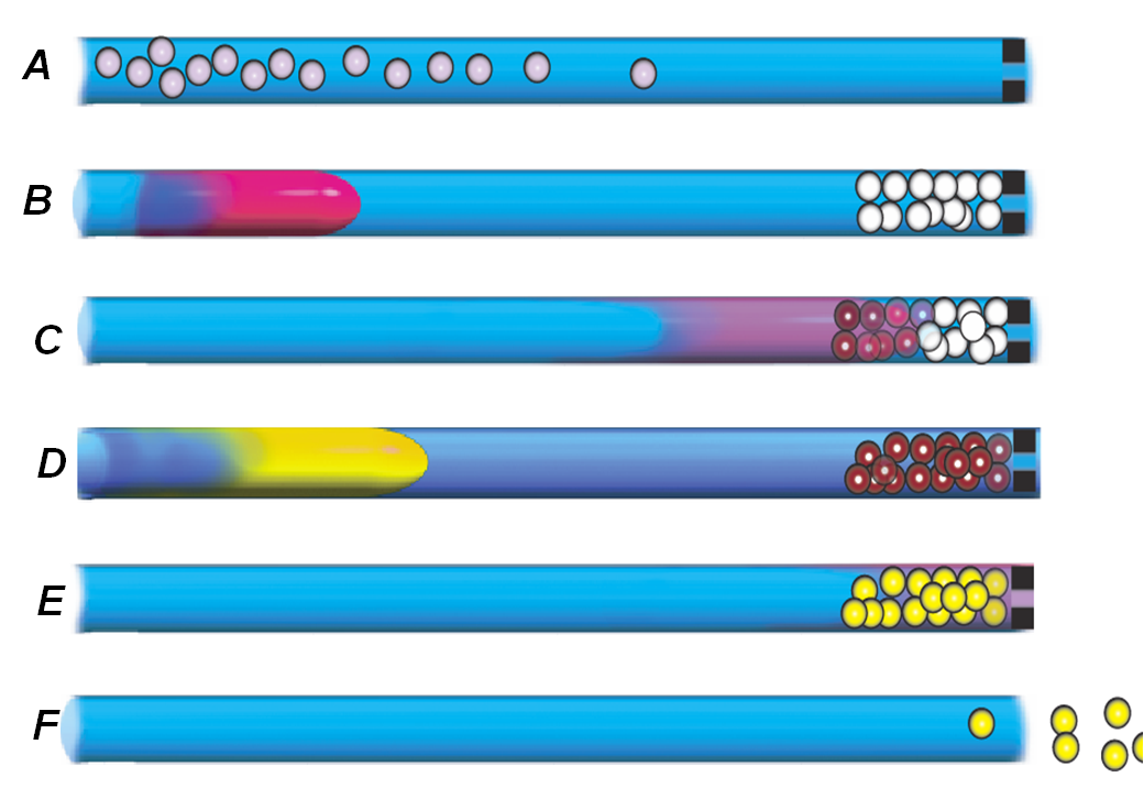 Flow Injection Tutorial