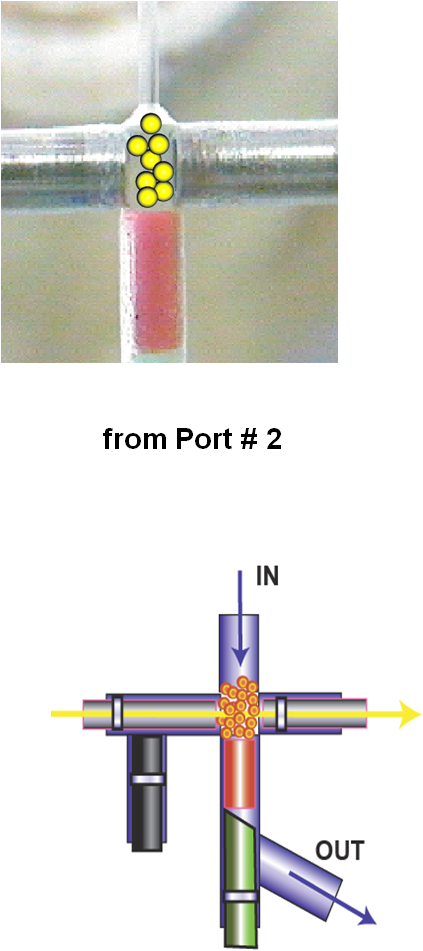 Flow Injection Tutorial