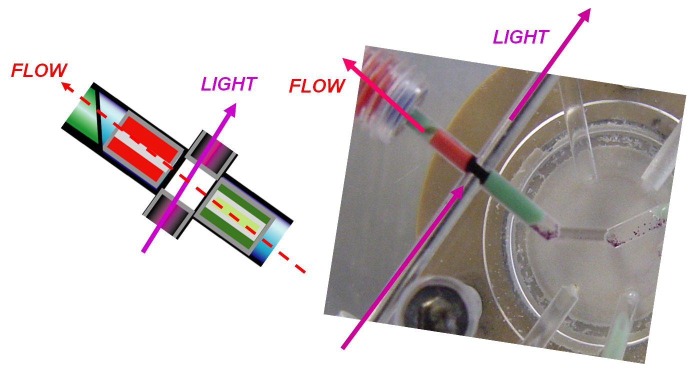 Flow Injection Tutorial