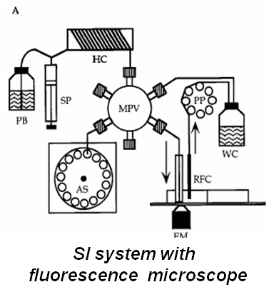 Flow Injection Tutorial